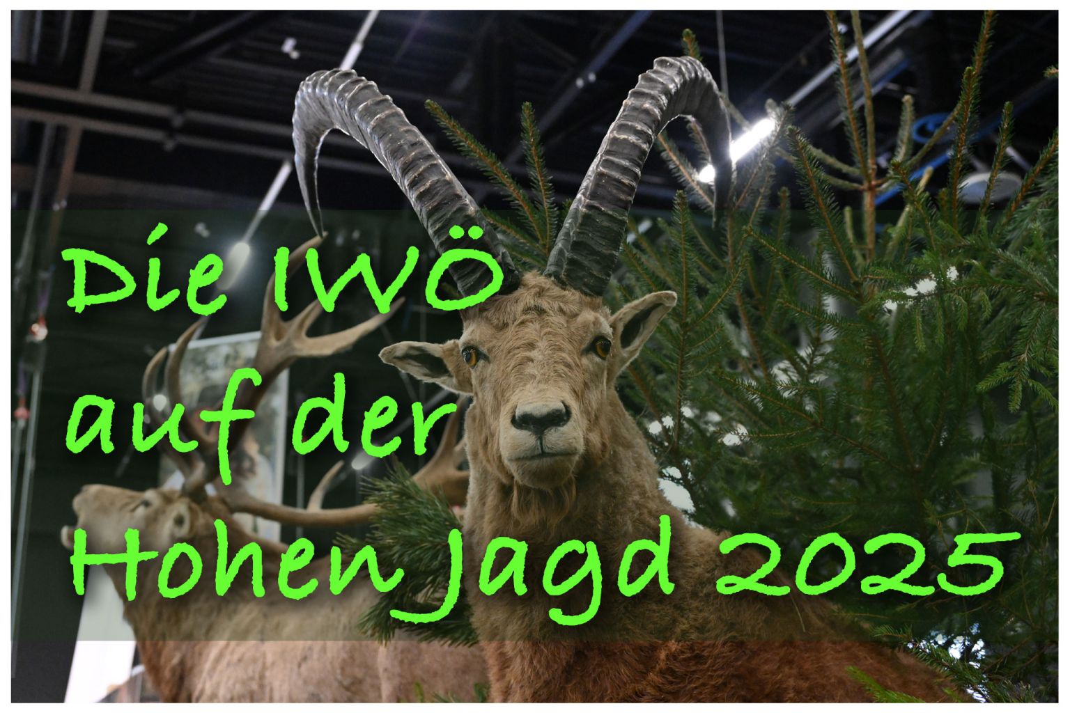 Die IWÖ auf der Hohen Jagd 2025 | IWÖ
