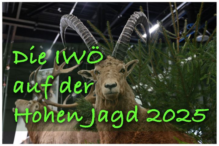 Die IWÖ auf der Hohen Jagd 2025 | IWÖ